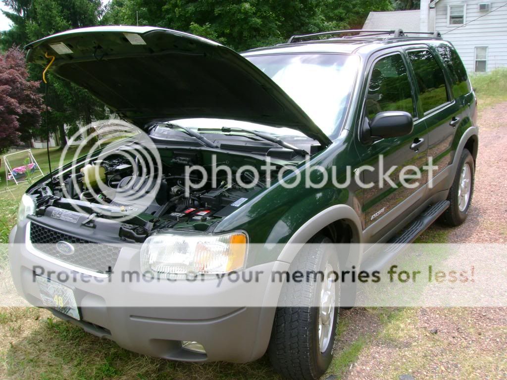 My Ford Escape! | Ford Escape Automobiles Forum